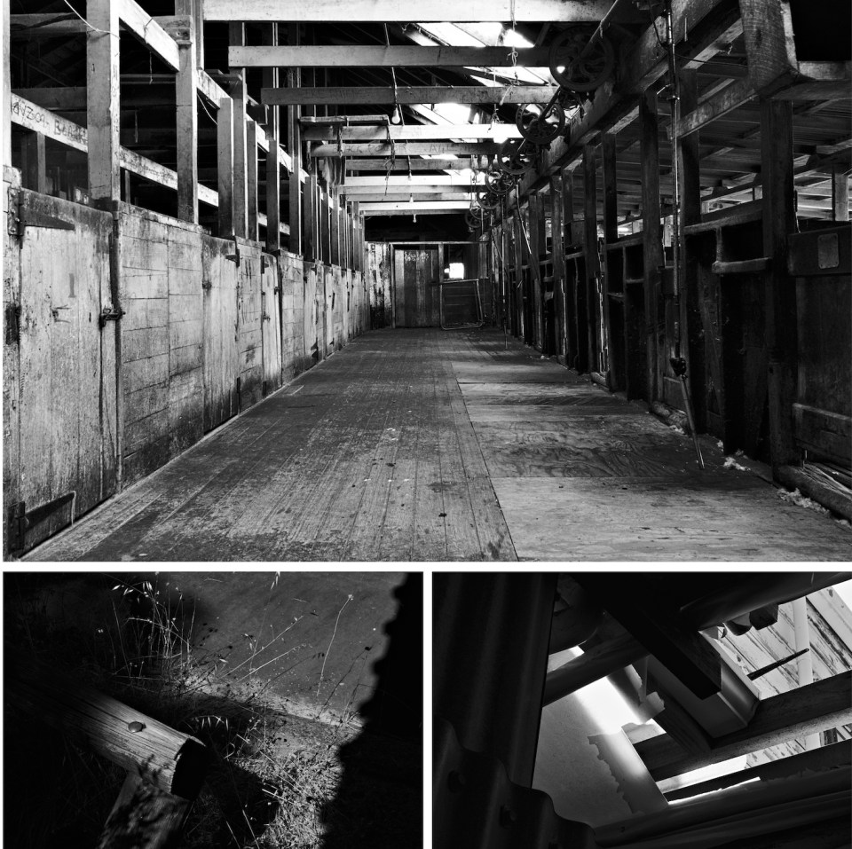 2026 May: Black and White | Wairarapa Camera Club